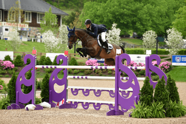 Jumping Horse Without Rider