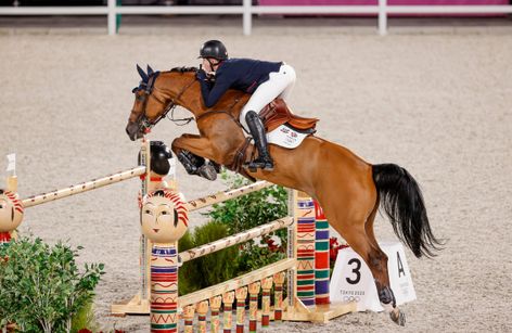 Romeo 88 profile (Stallion) with 266 videos – *2009