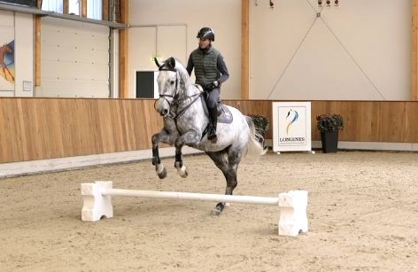 CMH.TV - Academy - How to control the length of your canter strides
