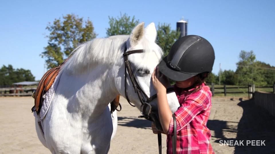 CMH.TV - Academy - Your First Riding Lesson