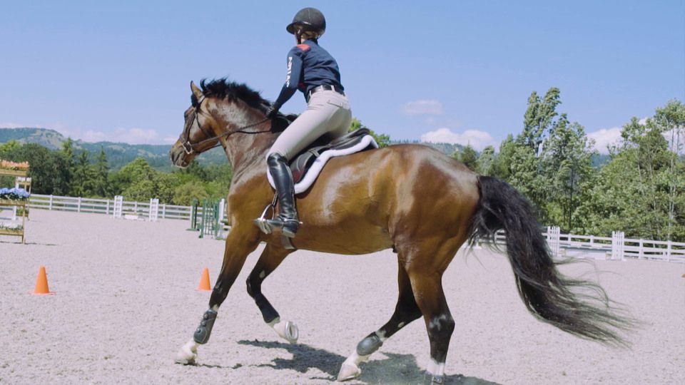 CMH.TV - Academy - Handy Hunter Exercises with Hope Hobday Glynn