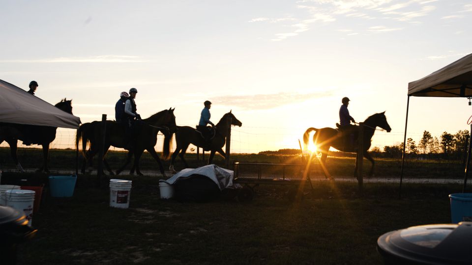 CMH.TV - Academy - Learning Center: Endurance with Valerie Kanavy