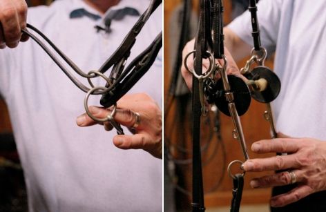 CMH.TV - Academy - Curb vs. Snaffle Bits