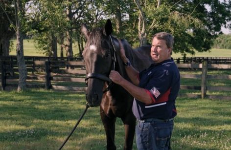 CMH.TV - Academy - Getting to Know Horses with David O’Connor ...