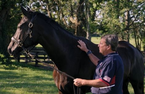 CMH.TV - Academy - Getting to Know Horses with David O’Connor: Horse ...