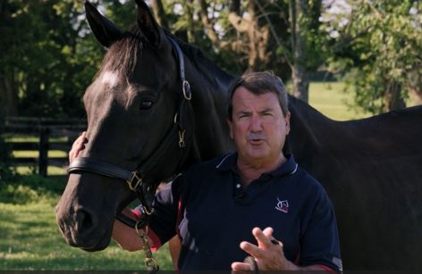 CMH.TV - Academy - Getting to Know Horses with David O’Connor: Horse ...