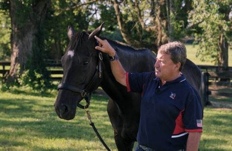CMH.TV - Academy - Getting to Know Horses with David O’Connor: Horse ...
