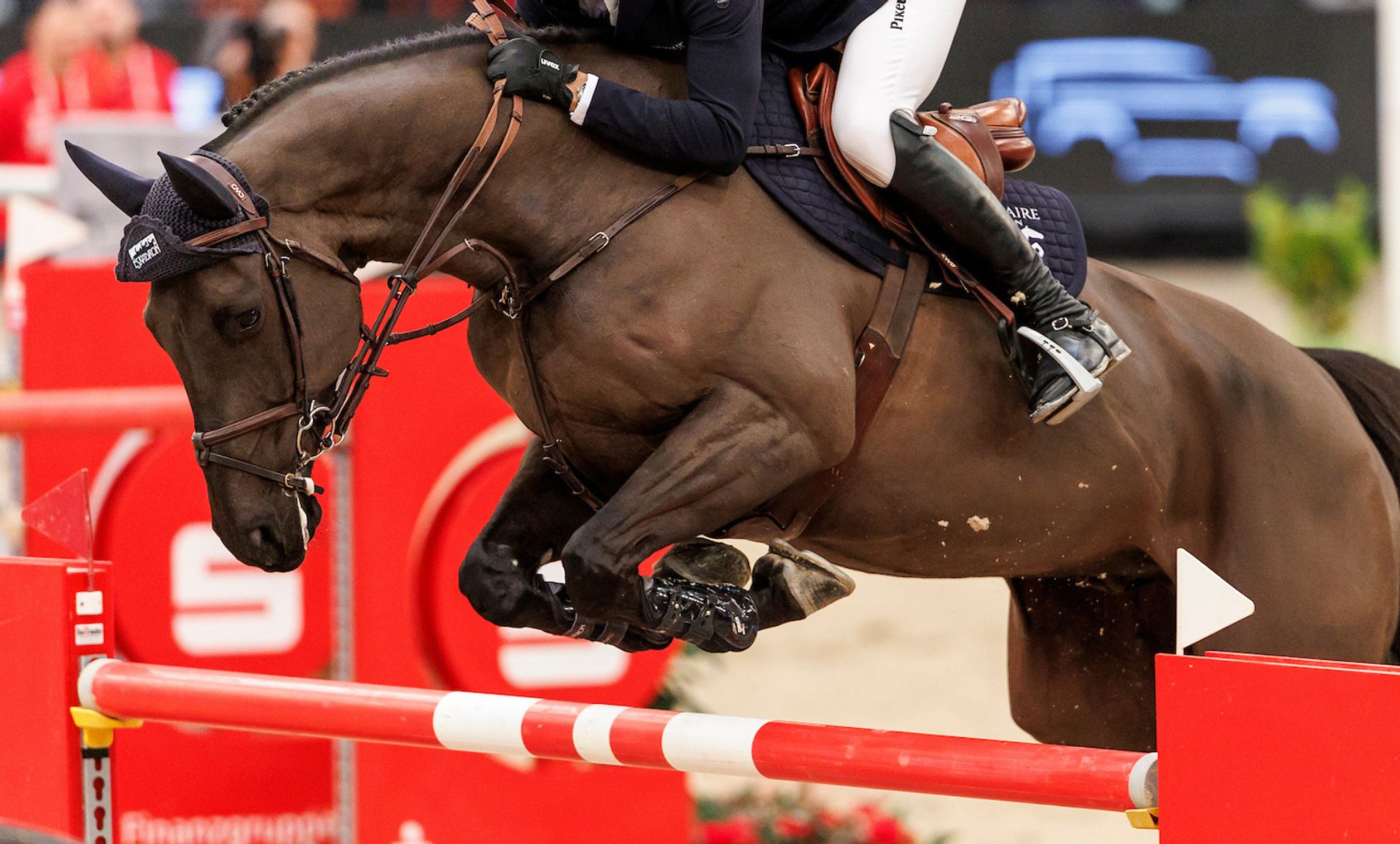 Olivia Cliver Wins $50,000 Southern Way Farm Grand Prix