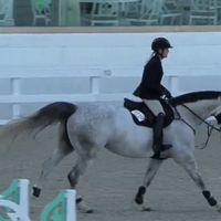 Carlee Comes Through in the Clutch to Win the WEC CSI3* Grand Prix