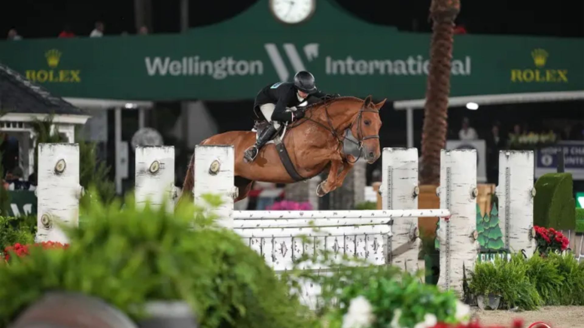A Season in Review: Defining Moments from the Hunter Ring