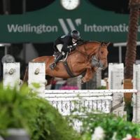 Havens Schatt and Chaquisto Blue PS Dominate $200,000 ClipMyHorse.TV ...