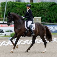 US Equestrian genehmigt Änderung der Blutregel