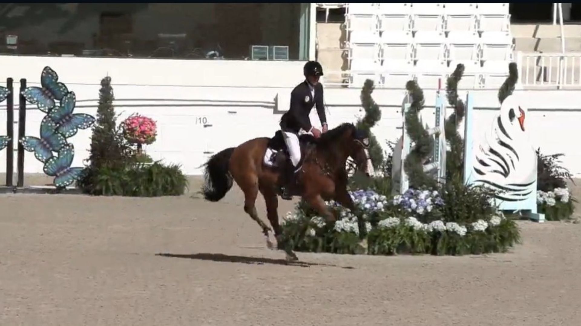 Tony Stormanns Prevails in the CSIU25 Speed Class at WEC Ocala