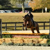 Chivalrous Shines With Derby Victory Under Jennifer Jones in $20,000 ...