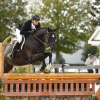 Chivalrous Shines With Derby Victory Under Jennifer Jones in $20,000 ...