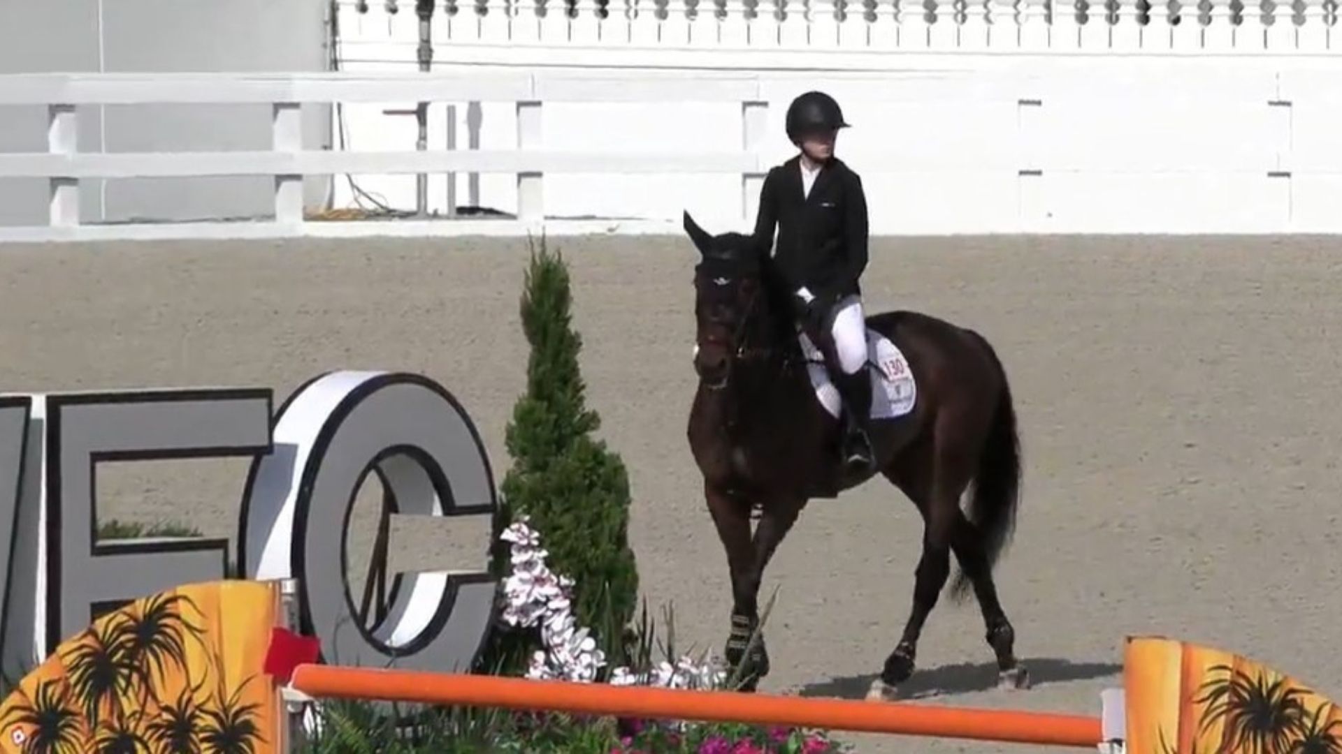 Carlee and Coco Clinch the CSIU25 WEC Ocala Grand Prix