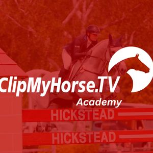 Glock horses transferred to Austria