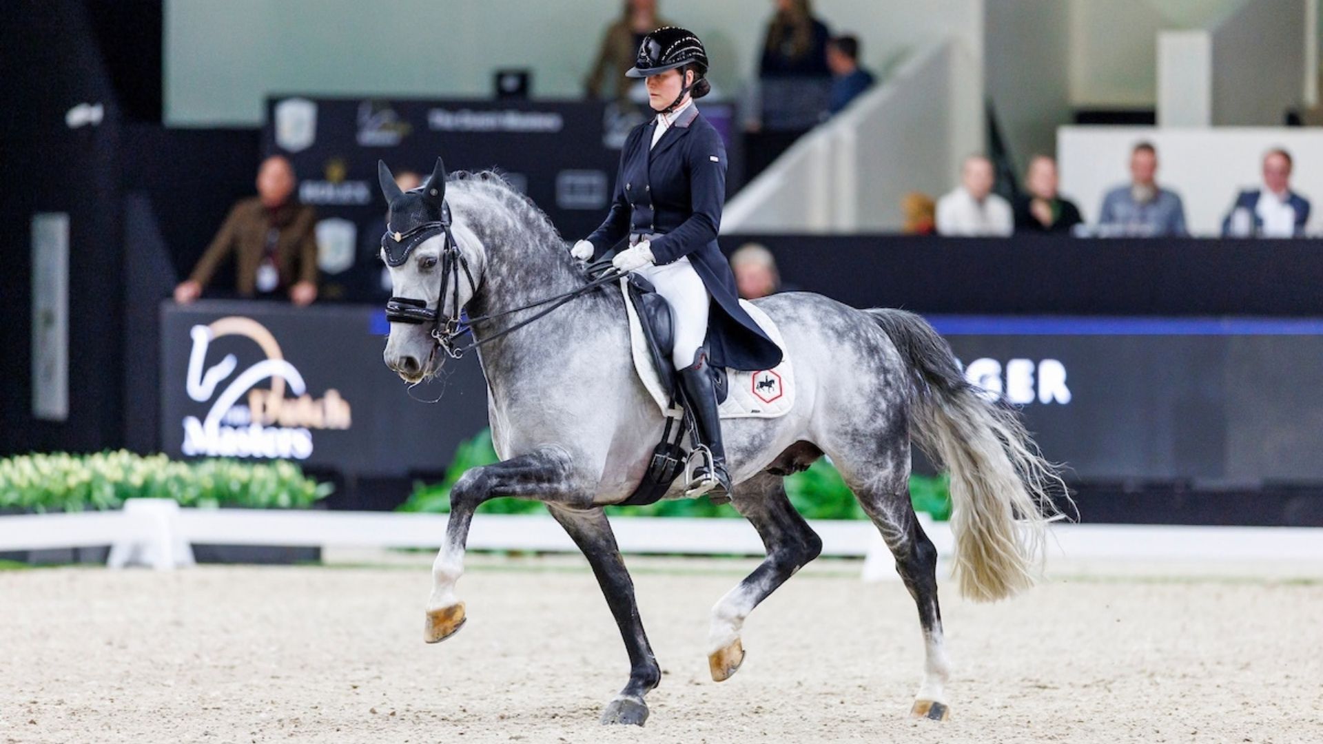 Grand-Prix-Pferd Hexagon's Ich Weiss wechselt in die USA