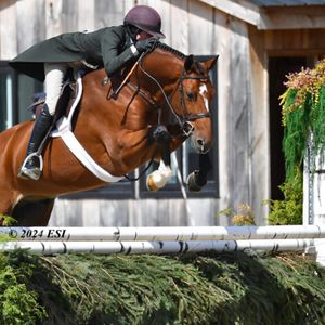 Maddie Tosh and Captain Capture Victory in $15,000 UF Veterinary ...