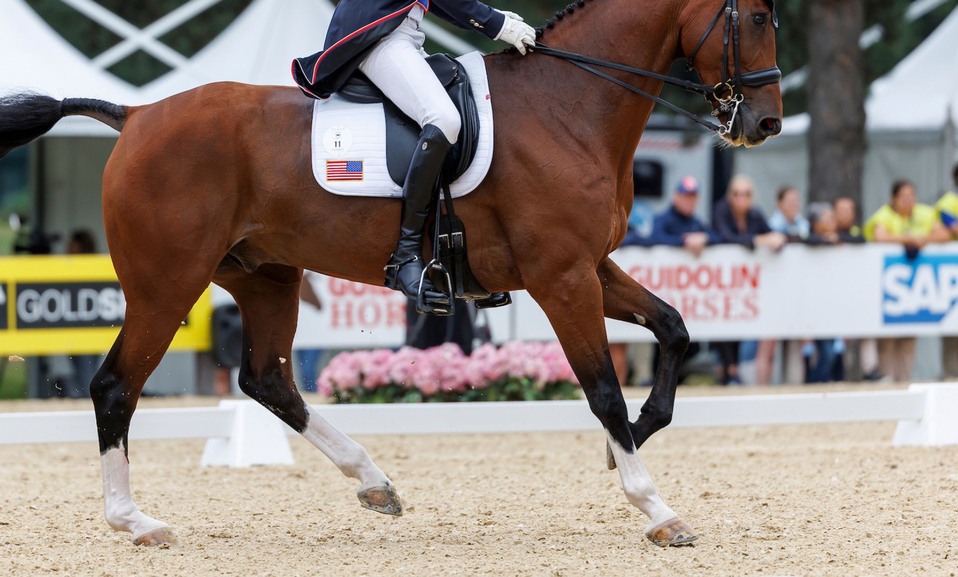 2026 US Dressage Grand Prix Championship Set for Spring