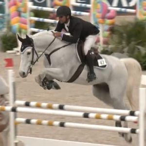 Bertram Allen Arrested in Florida for DUI