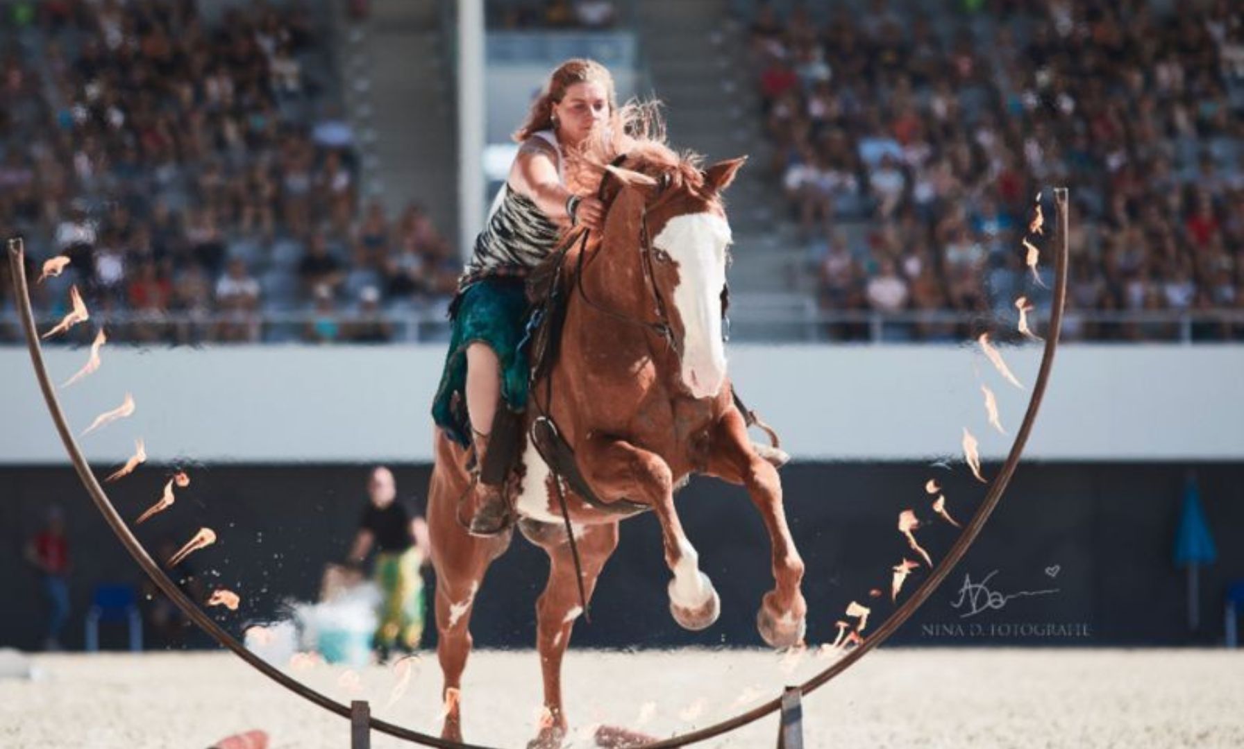 Glock horses transferred to Austria