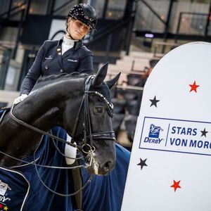 FEI-Dressurprotokolle: „Harmonie“ ersetzt den „Gesamteindruck“