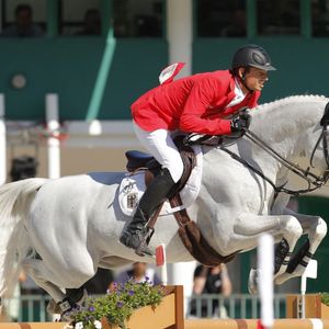 Flanders embryo collection promises fireworks again in Abu Dhabi