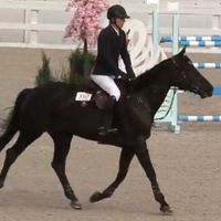 Bertram Allen Arrested in Florida for DUI