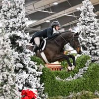 Havens Schatt and Chaquisto Blue PS Dominate $200,000 ClipMyHorse.TV ...