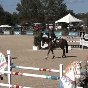 Bertram Allen Captures the CSI4* $116,100 Adequan WEF Challenge Round