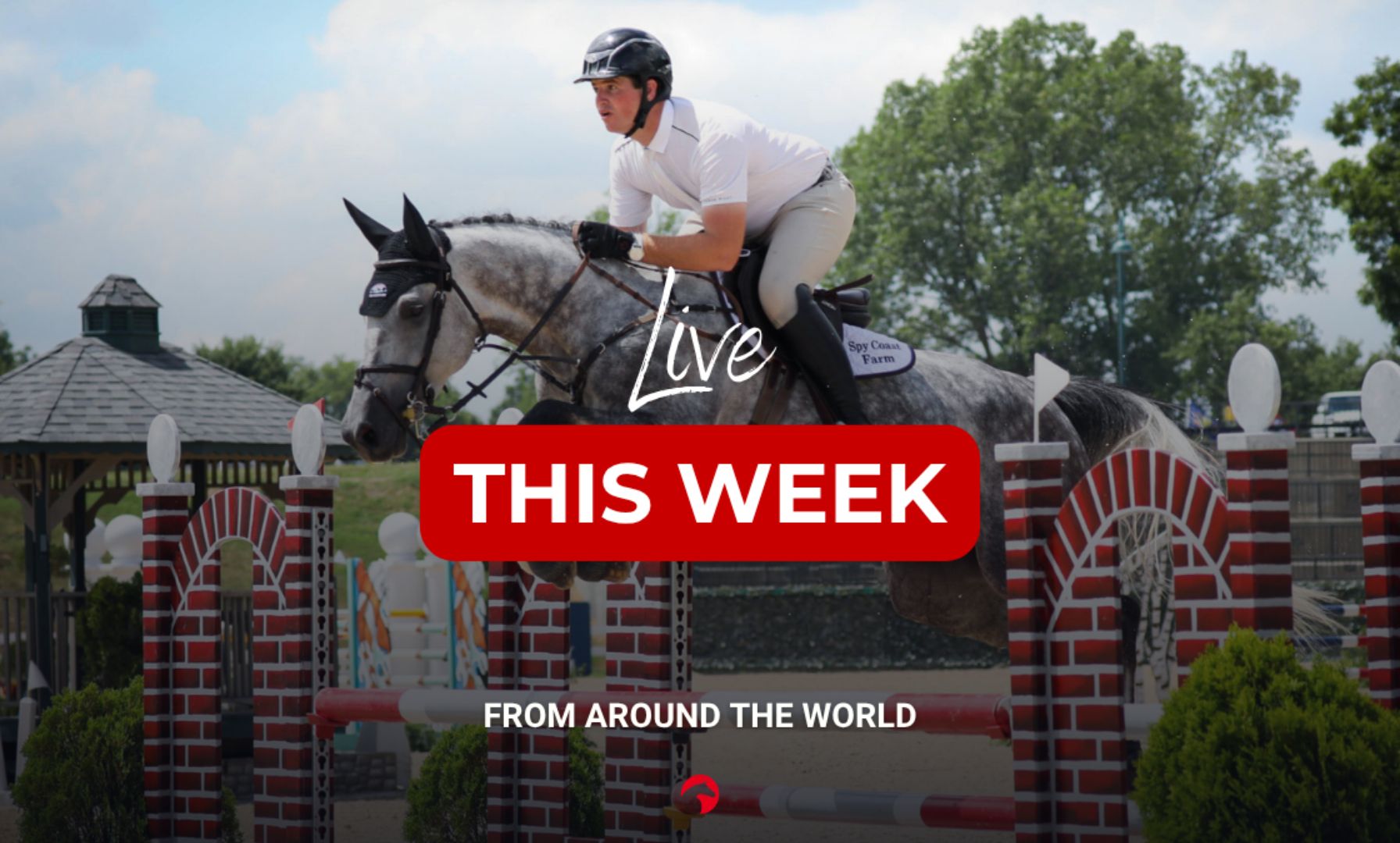 Glock horses transferred to Austria