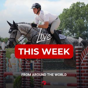 Glock horses transferred to Austria