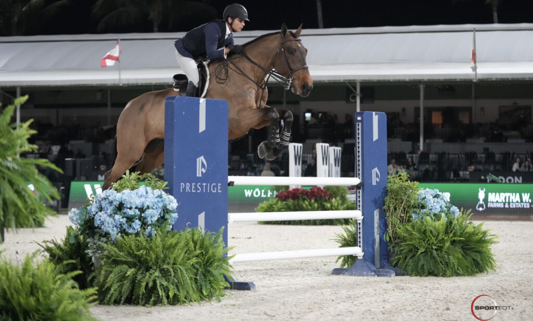 Glock horses transferred to Austria