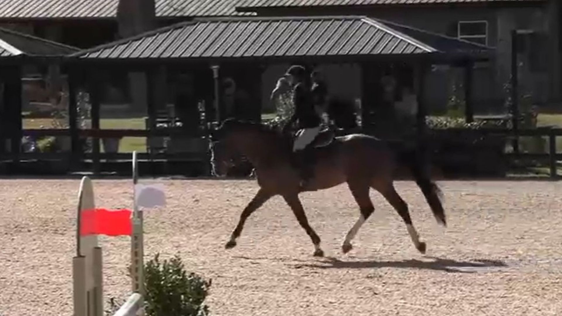 Hannah Matts Makes Her Mark in the $10,000 Adequan Welcome at HITS Ocala