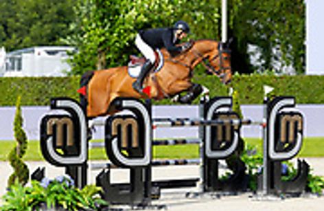 Kandiamo Profil (kastrat) s/z 72 videoposnetki – *2015