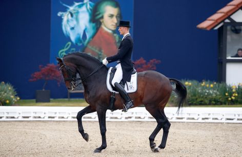 Blue Hors Zack Profil (hingst) med 131 videoer - *2004