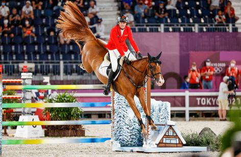 DSP Chakaria (Stute) Profil mit allen Infos zum Pferd