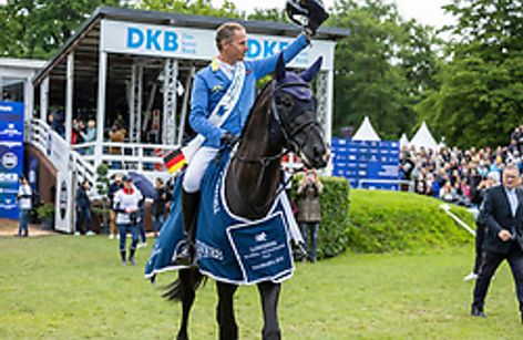 Dominator Z (Hengst) Profil mit allen Infos zum Pferd