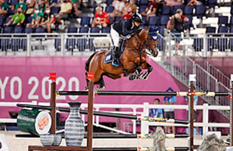 Donatello Profil (kastrat) s/z 108 videoposnetki – *2011