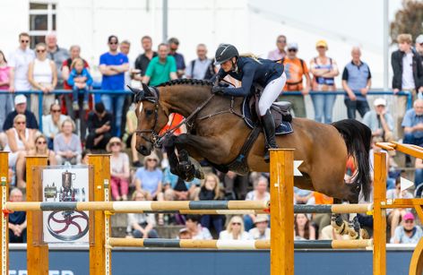 Cuma 5 profile (Gelding) with 456 videos – *2012