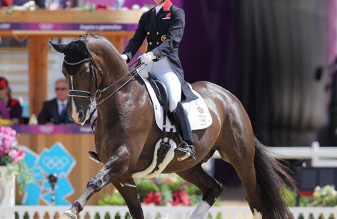 Valegro profile (Gelding) with 25 videos – *2002