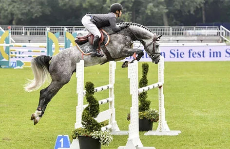 Cerulean Blue profile (Stallion) with 64 videos – *2017