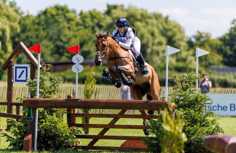 Rehy DJ profile (Gelding) with 49 videos – *2010