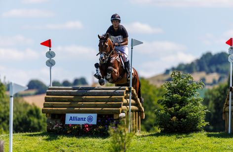 Falco profile (Gelding) with 137 videos – *2009