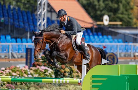 Chacco Blue II profile (Stallion) with 151 videos – *2007