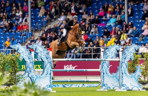 Levi Noesar profile (Stallion) with 117 videos – *2016