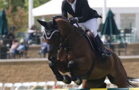 Donner profile (Gelding) with 59 videos – *2010
