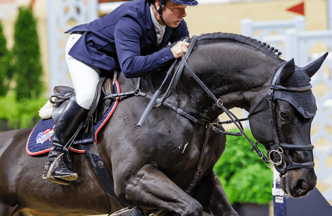 Vermento profile (Stallion) with 753 videos – *2013