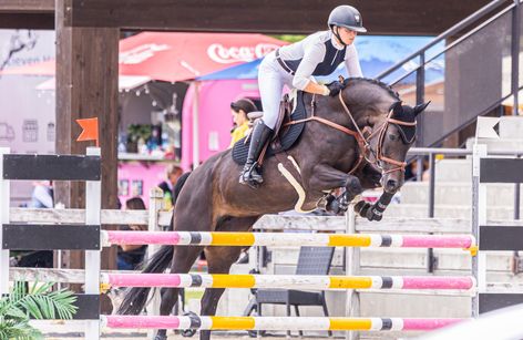 Cordina 57 Profil (kobila) s/z 15 videoposnetki – *2016